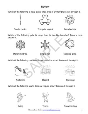 A Closer Look at the Science of Snowflakes-Learning About Science ...