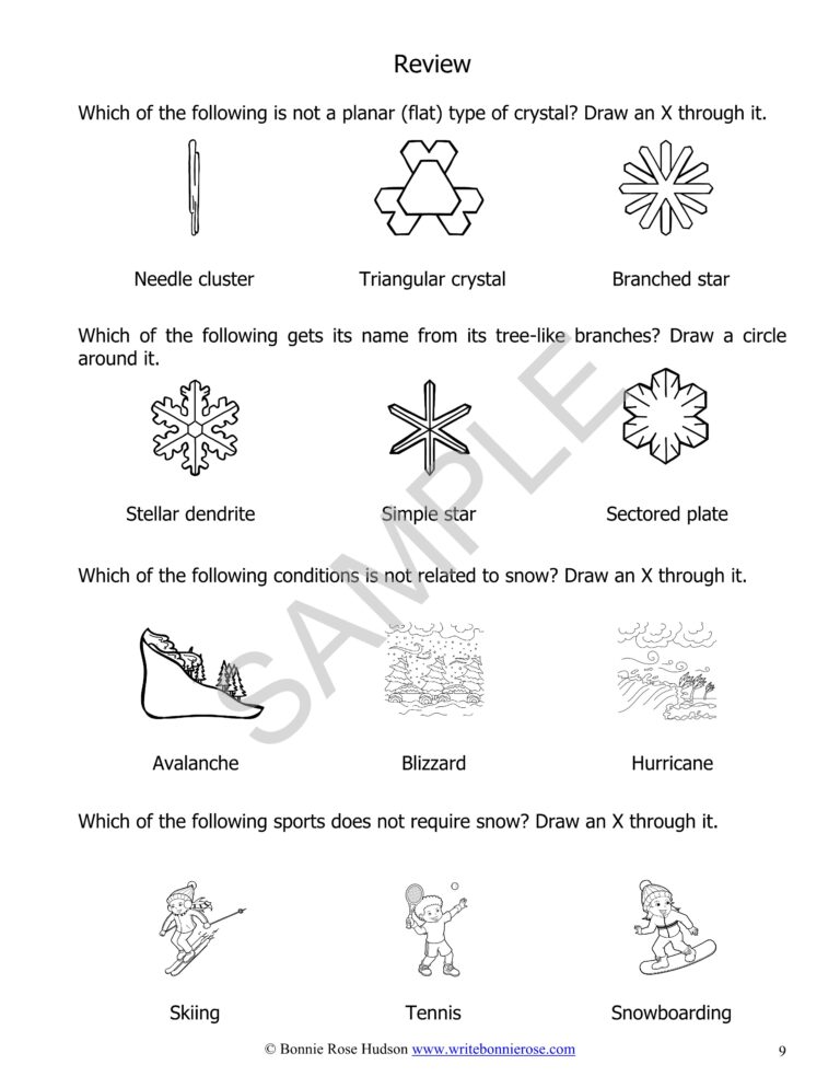 A Closer Look at the Science of Snowflakes-Learning About Science ...