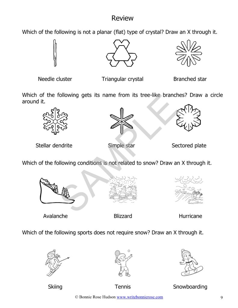 A Closer Look at the Science of Snowflakes-Learning About Science ...