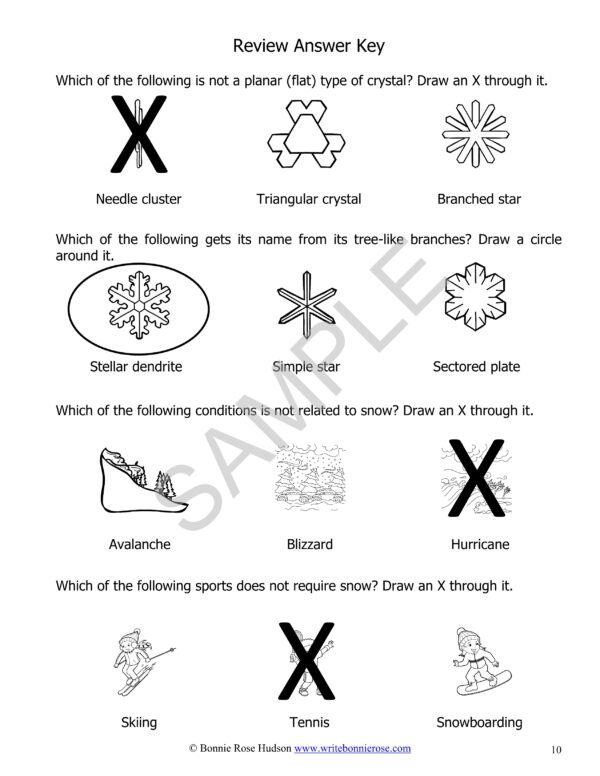 A Closer Look at the Science of Snowflakes-Learning About Science ...