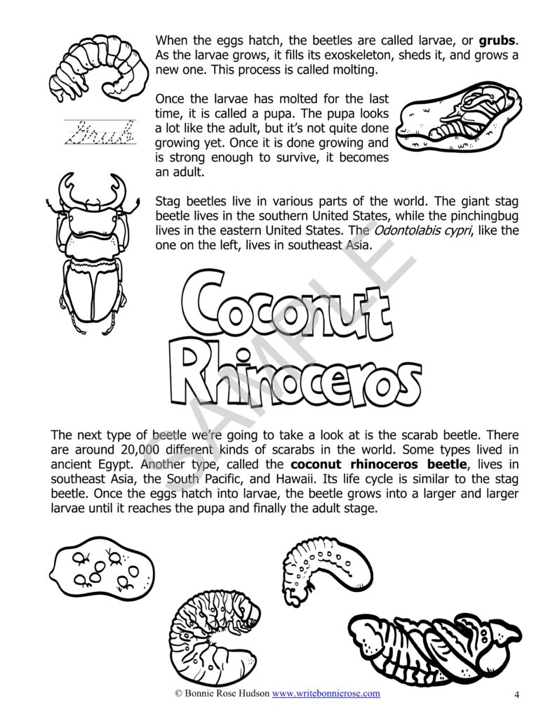 Beetles and Butterflies-Learning About Science, Level 3 Cursive Version ...