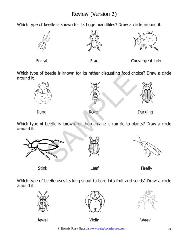 Beetles and Butterflies-Learning About Science, Level 3 Cursive Version ...