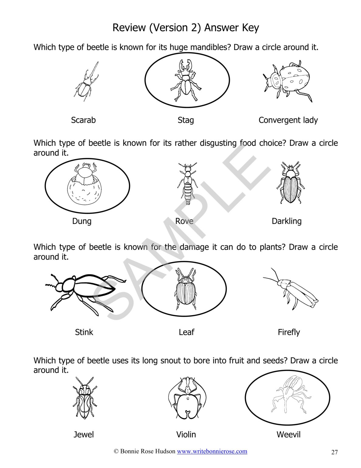 Beetles and Butterflies-Learning About Science, Level 3 Cursive Version ...
