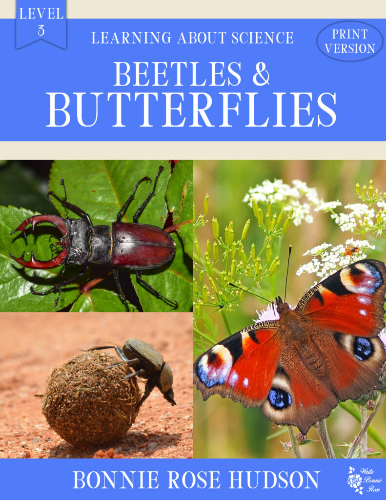 Beetles and Butterflies-Learning About Science, Level 3 Print Version ...