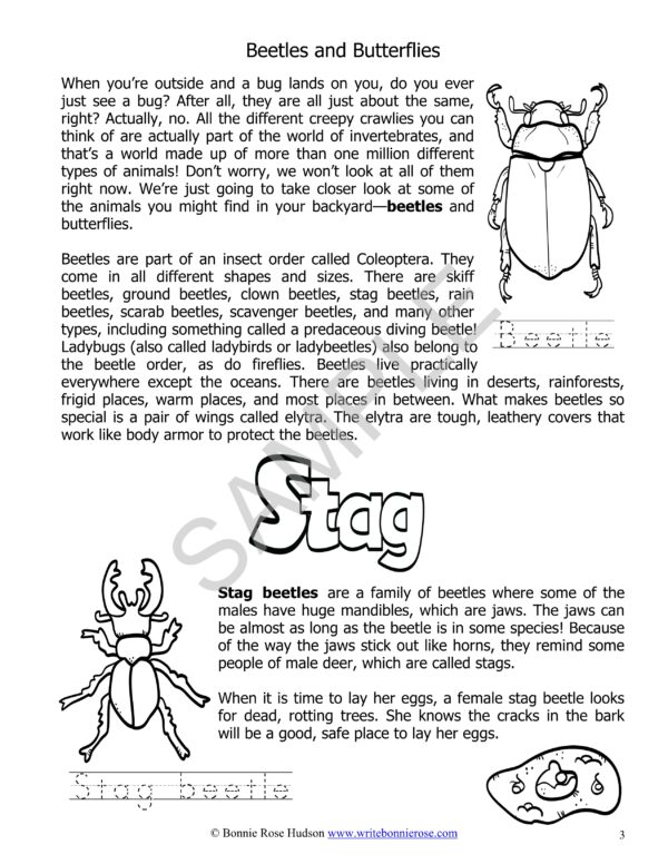 Beetles and Butterflies-Learning About Science, Level 3 Print Version ...