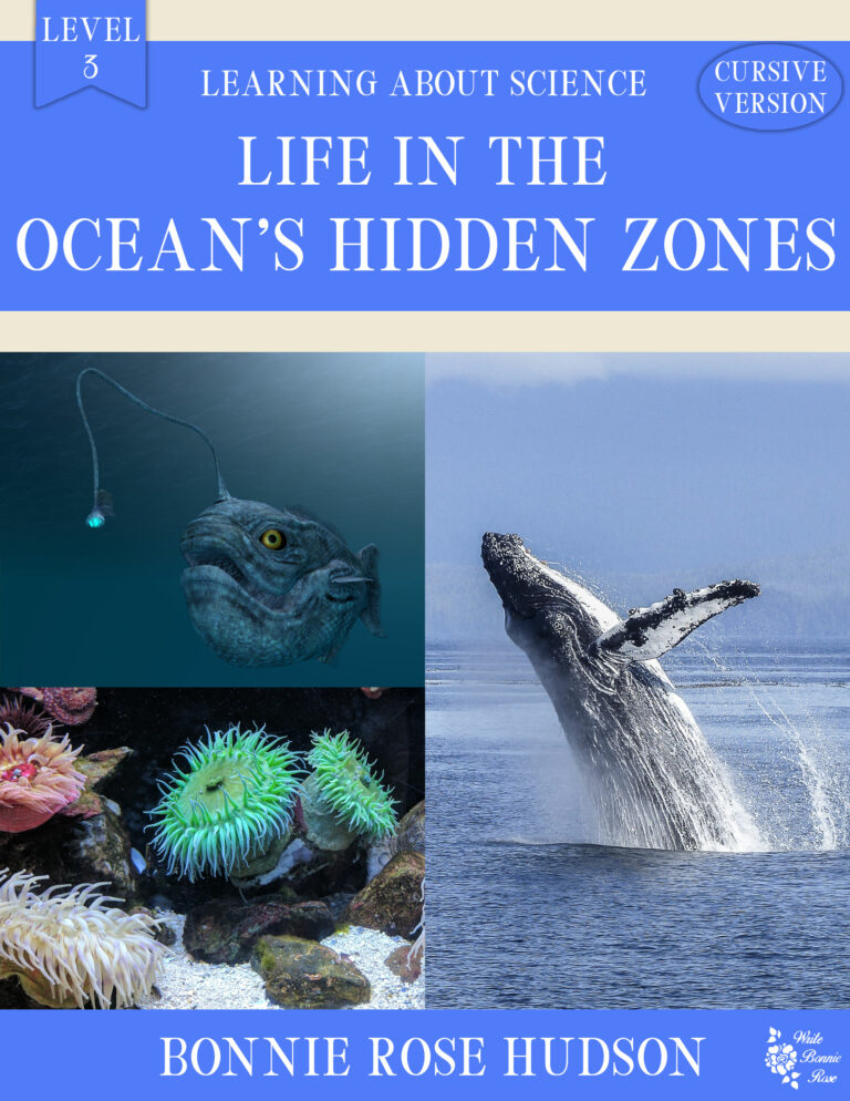 Life in the Ocean's Hidden Zones-Learning About Science, Level 3 ...