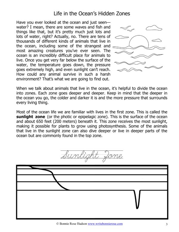 Life in the Ocean's Hidden Zones-Learning About Science, Level 3 ...