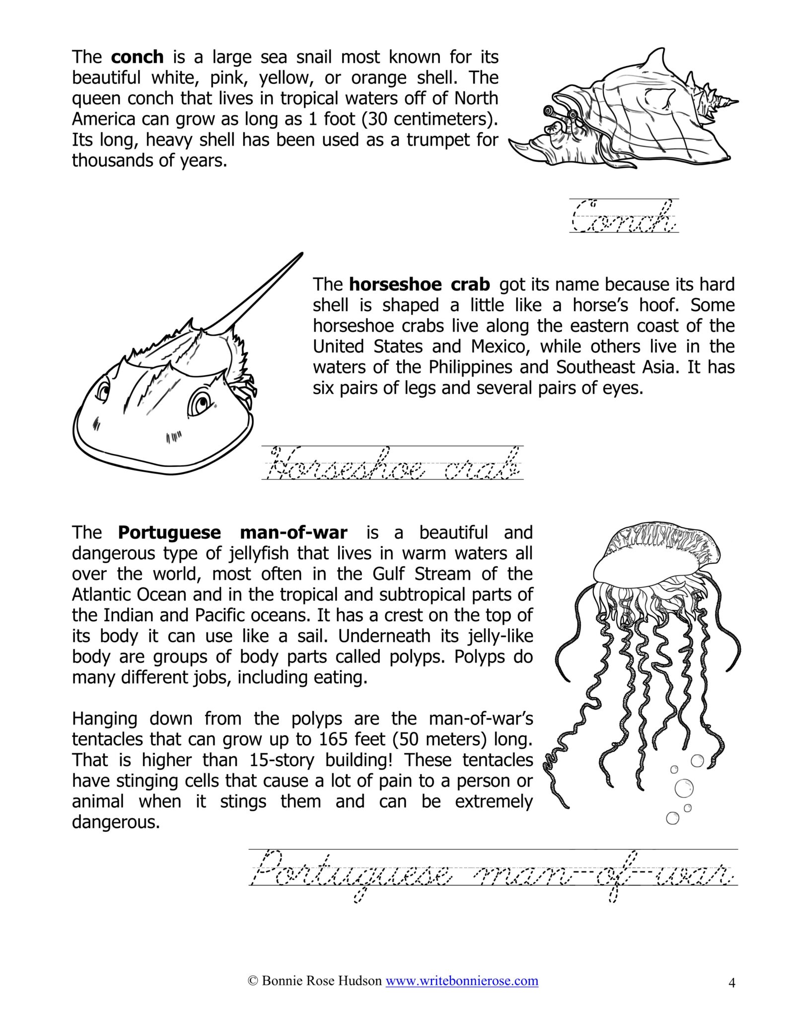 Life in the Ocean's Hidden Zones-Learning About Science, Level 3 ...