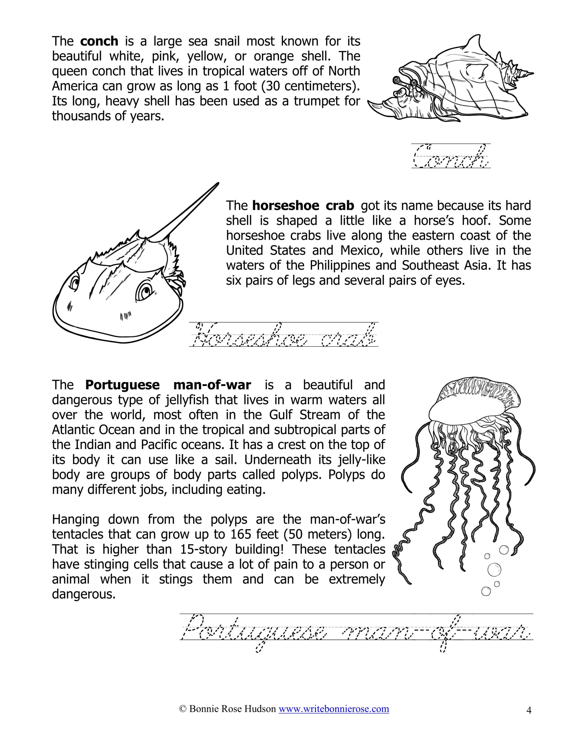 Life in the Ocean's Hidden Zones-Learning About Science, Level 3 ...