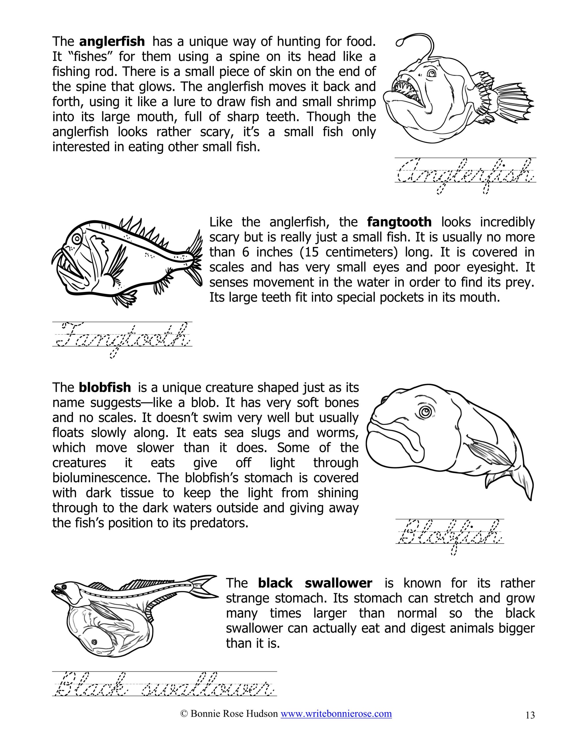 Life in the Ocean's Hidden Zones-Learning About Science, Level 3 ...