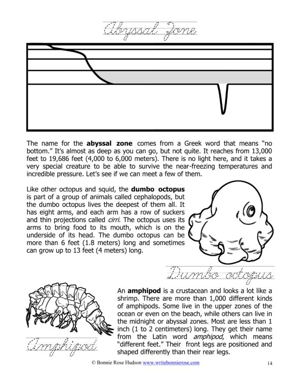 Life in the Ocean's Hidden Zones-Learning About Science, Level 3 ...