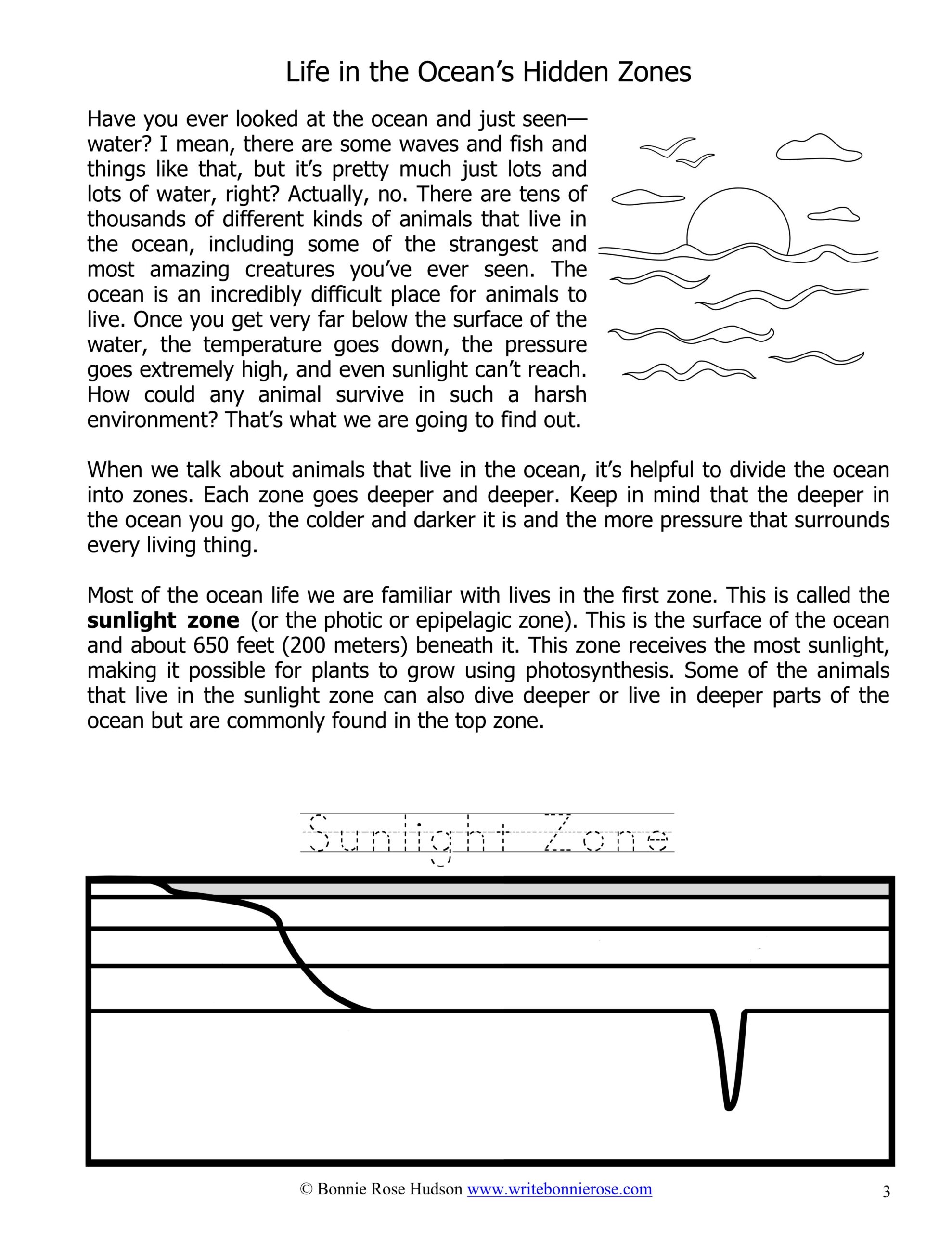 Life in the Ocean's Hidden Zones-Learning About Science, Level 3 Print ...