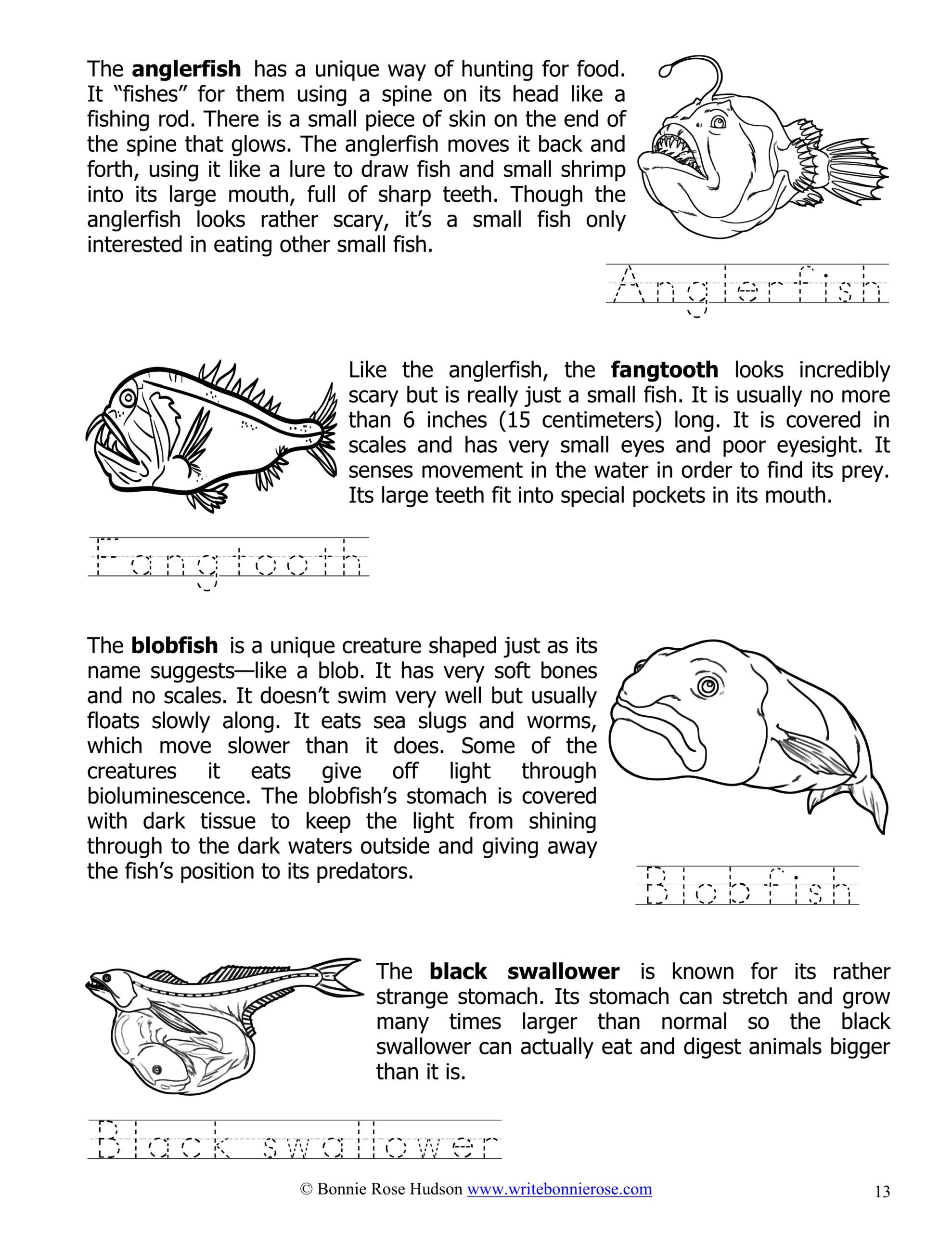 Life in the Ocean's Hidden Zones-Learning About Science, Level 3 Print ...