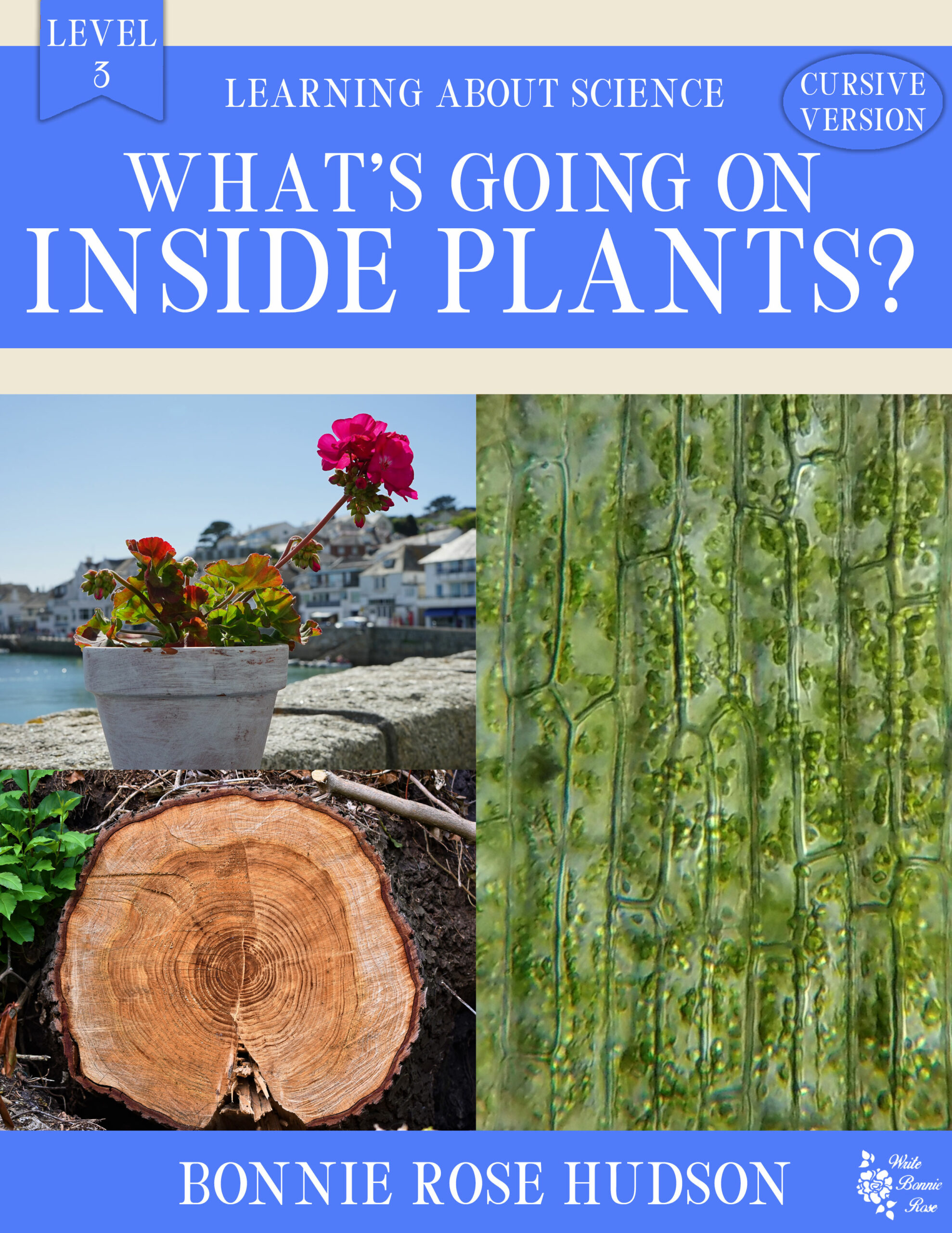 What's Going on Inside Plants?-Learning About Science, Level 3 Cursive ...