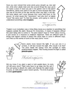 What's Going on Inside Plants?-Learning About Science, Level 3 Cursive ...