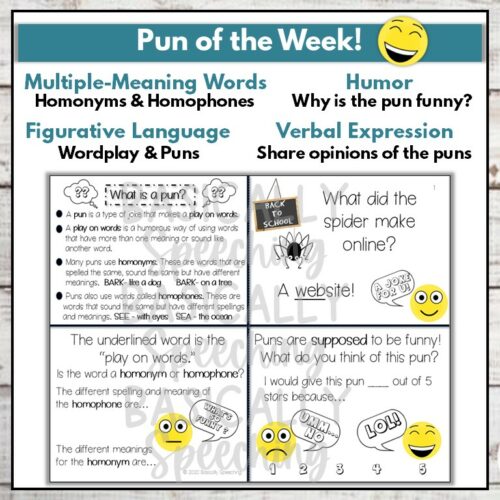 Homonyms Homophones and Multiple Meaning Words Activity, Pun of the ...