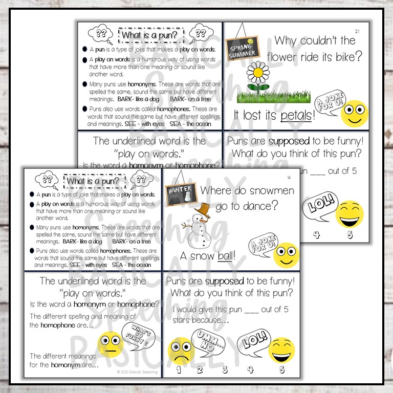 Homonyms Homophones and Multiple Meaning Words Activity, Pun of the ...