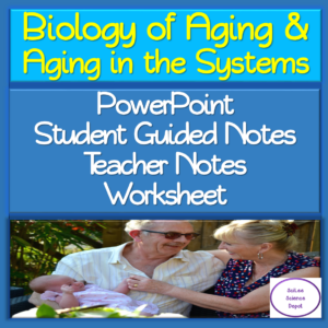 Life Cycles: Biology of Aging & Aging in the Body Systems PowerPoint ...