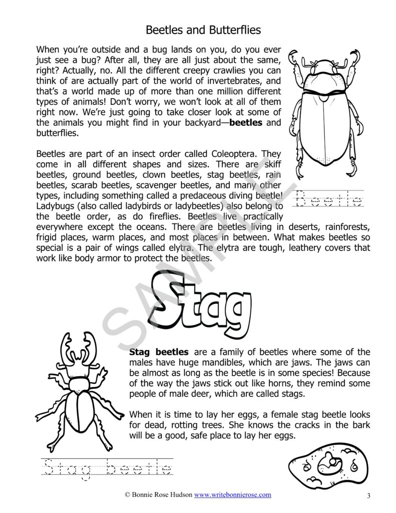 Learning About Science Collection, Level 3 Print Version | Made By Teachers