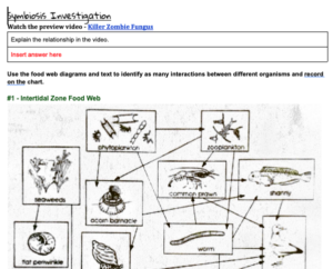 7th Life Science Lesson Plans Bundle OAS NGSS | Made By Teachers