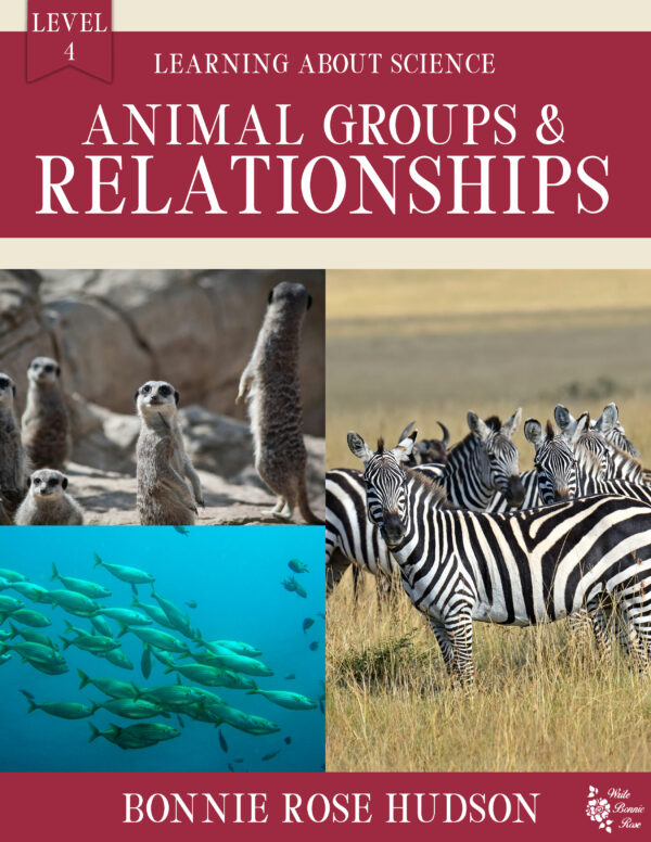 Animal Groups & Relationships-Learning About Science, Level 4 | Made By ...