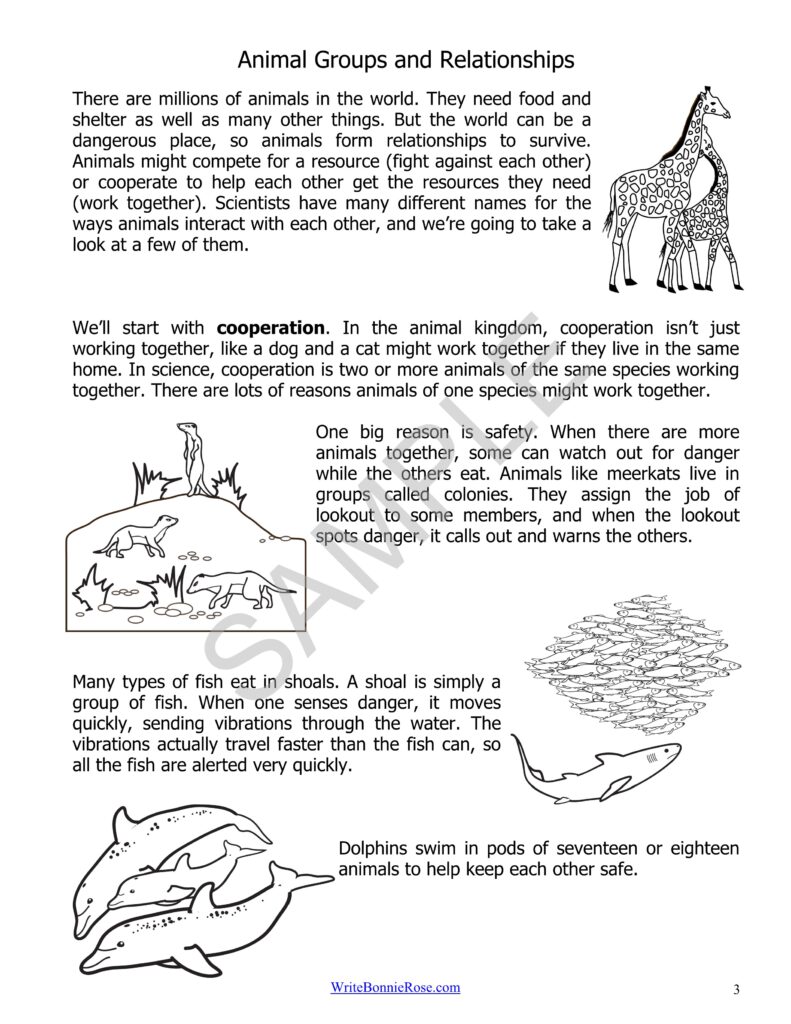 Animal Groups & Relationships-Learning About Science, Level 4 | Made By ...