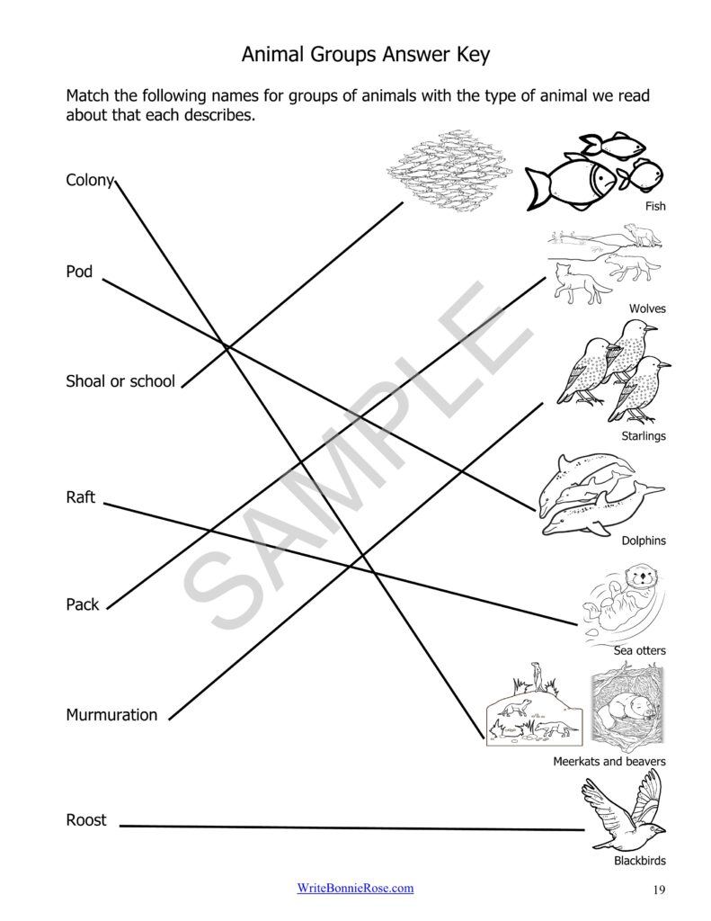 Animal Groups & Relationships-Learning About Science, Level 4 | Made By ...