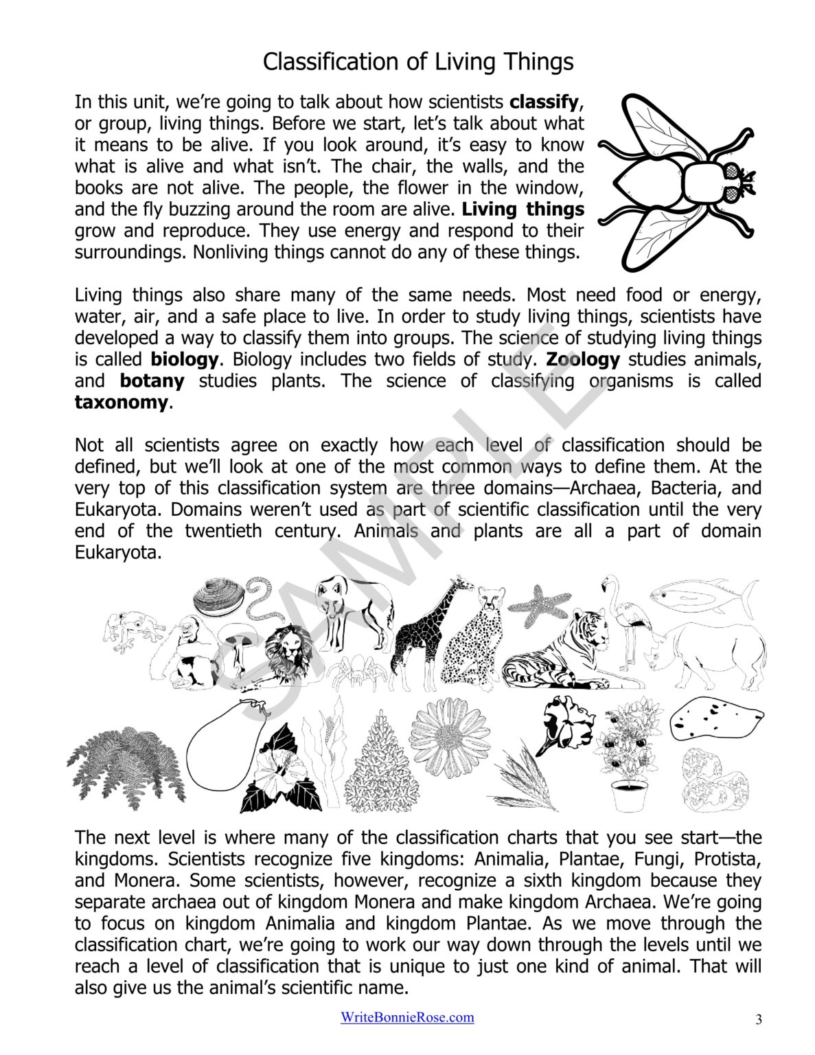 Classification of Living Things-Learning About Science, Level 4 | Made ...