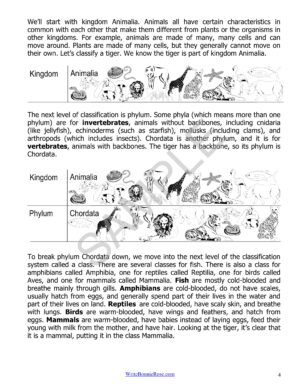Classification of Living Things-Learning About Science, Level 4 | Made ...