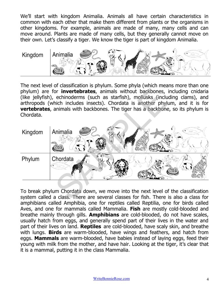 Classification of Living Things-Learning About Science, Level 4 | Made ...