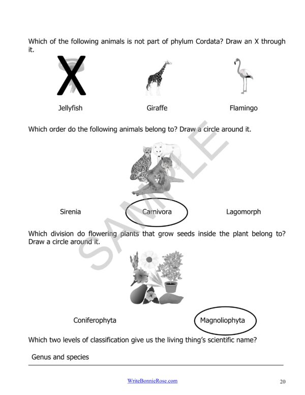 Classification of Living Things-Learning About Science, Level 4 | Made ...