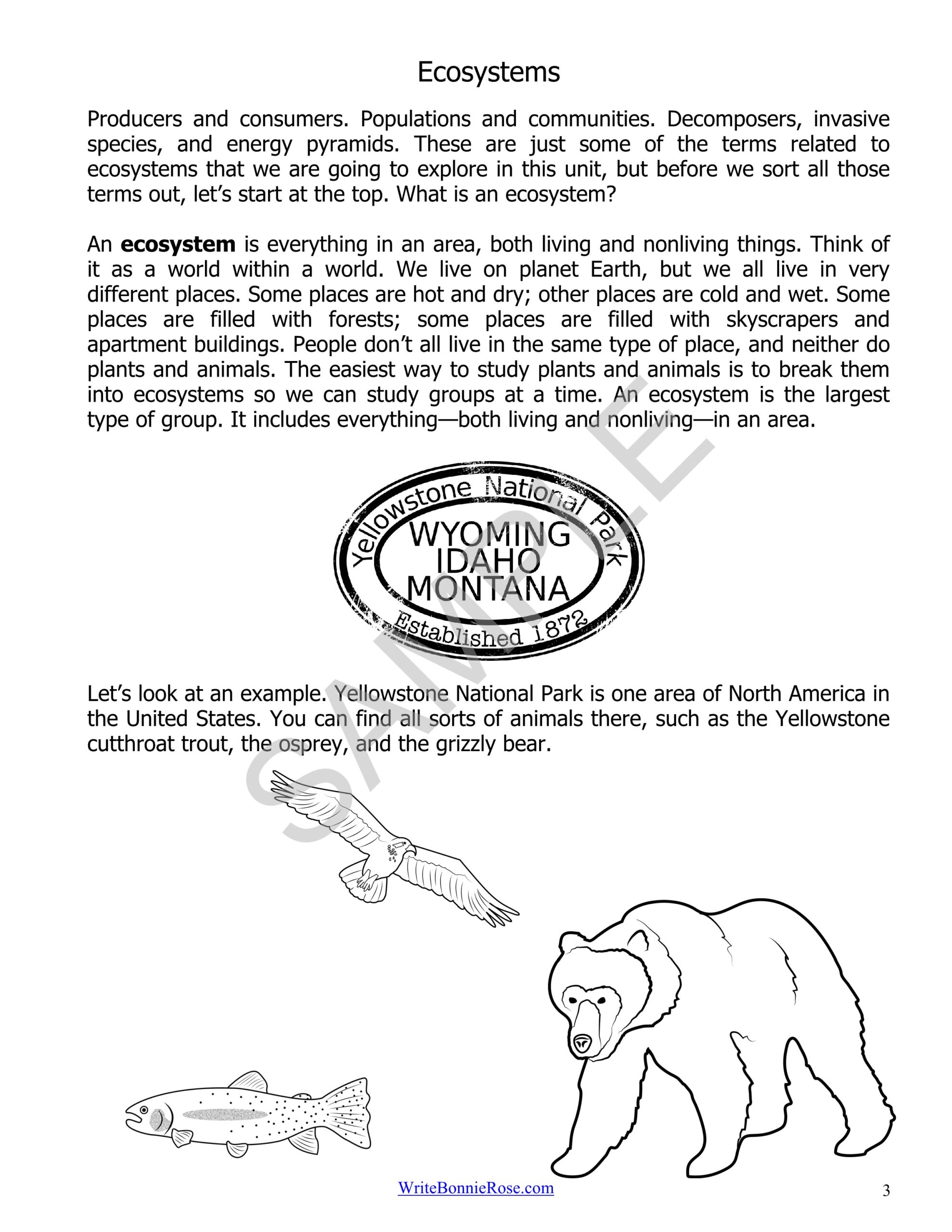 Ecosystems-Learning About Science, Level 4 | Made By Teachers