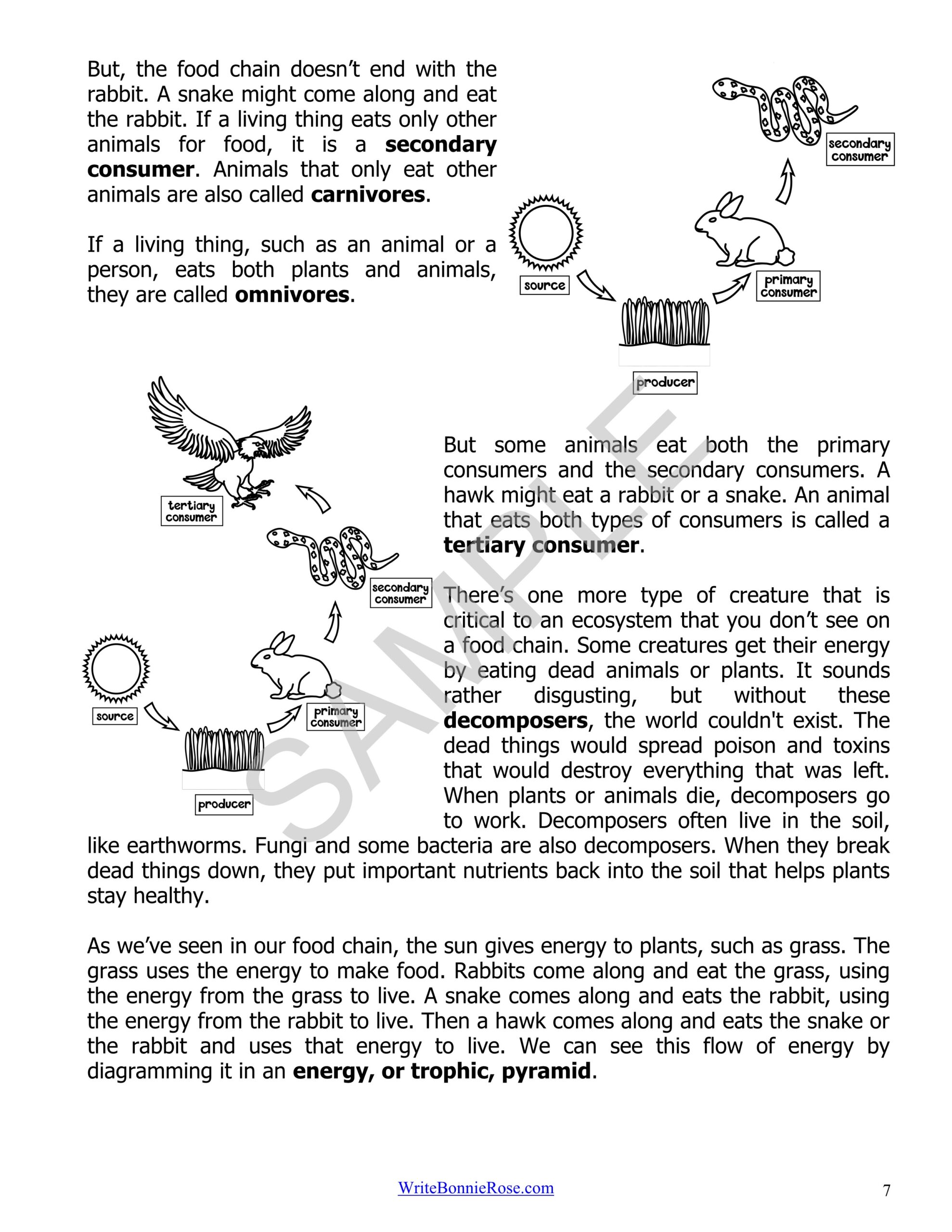 Ecosystems-Learning About Science, Level 4 | Made By Teachers