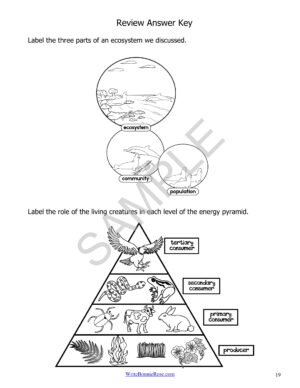 Ecosystems-Learning About Science, Level 4 | Made By Teachers