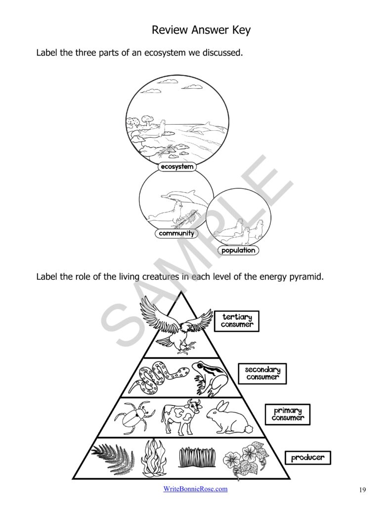Ecosystems-Learning About Science, Level 4 | Made By Teachers