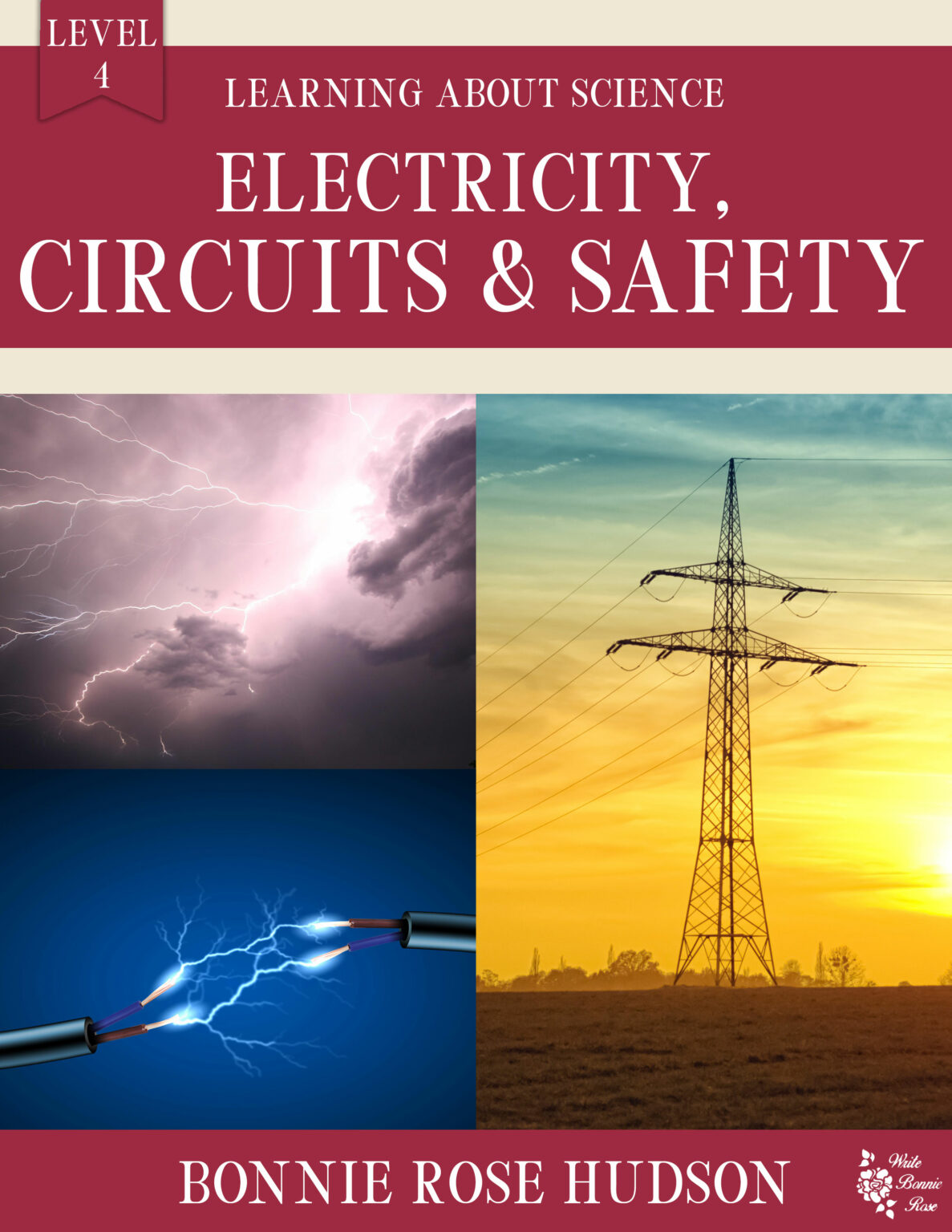 Electricity, Circuits & Safety-Learning About Science, Level 4 | Made ...
