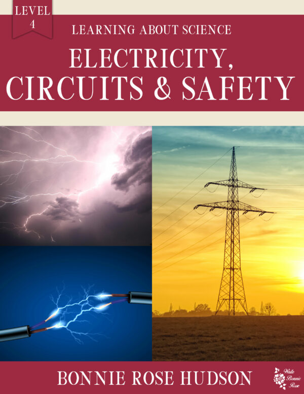 Electricity, Circuits & Safety-Learning About Science, Level 4 | Made ...
