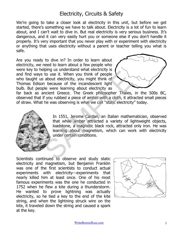 Electricity, Circuits & Safety-Learning About Science, Level 4 | Made ...