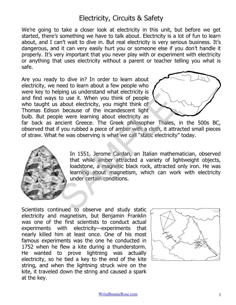 Electricity, Circuits & Safety-Learning About Science, Level 4 | Made ...