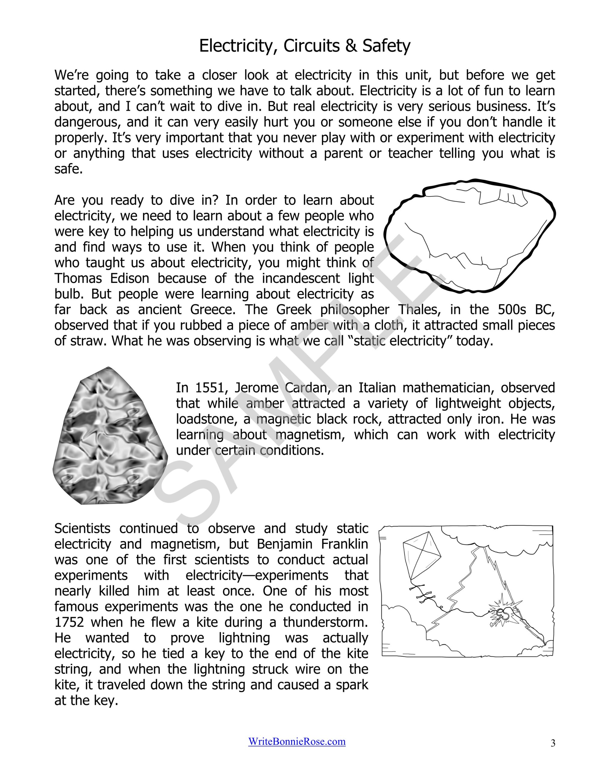Electricity, Circuits & Safety-Learning About Science, Level 4 | Made ...