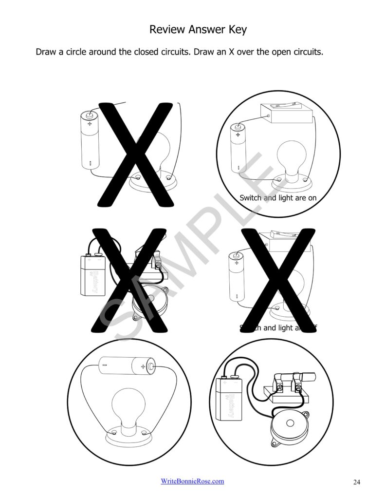 Electricity, Circuits & Safety-Learning About Science, Level 4 | Made ...