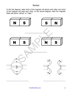 Forces and Motion-Learning About Science, Level 4 | Made By Teachers