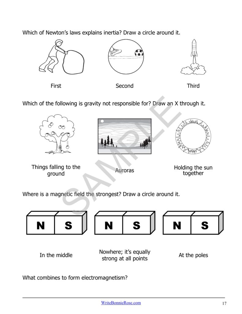 Forces and Motion-Learning About Science, Level 4 | Made By Teachers