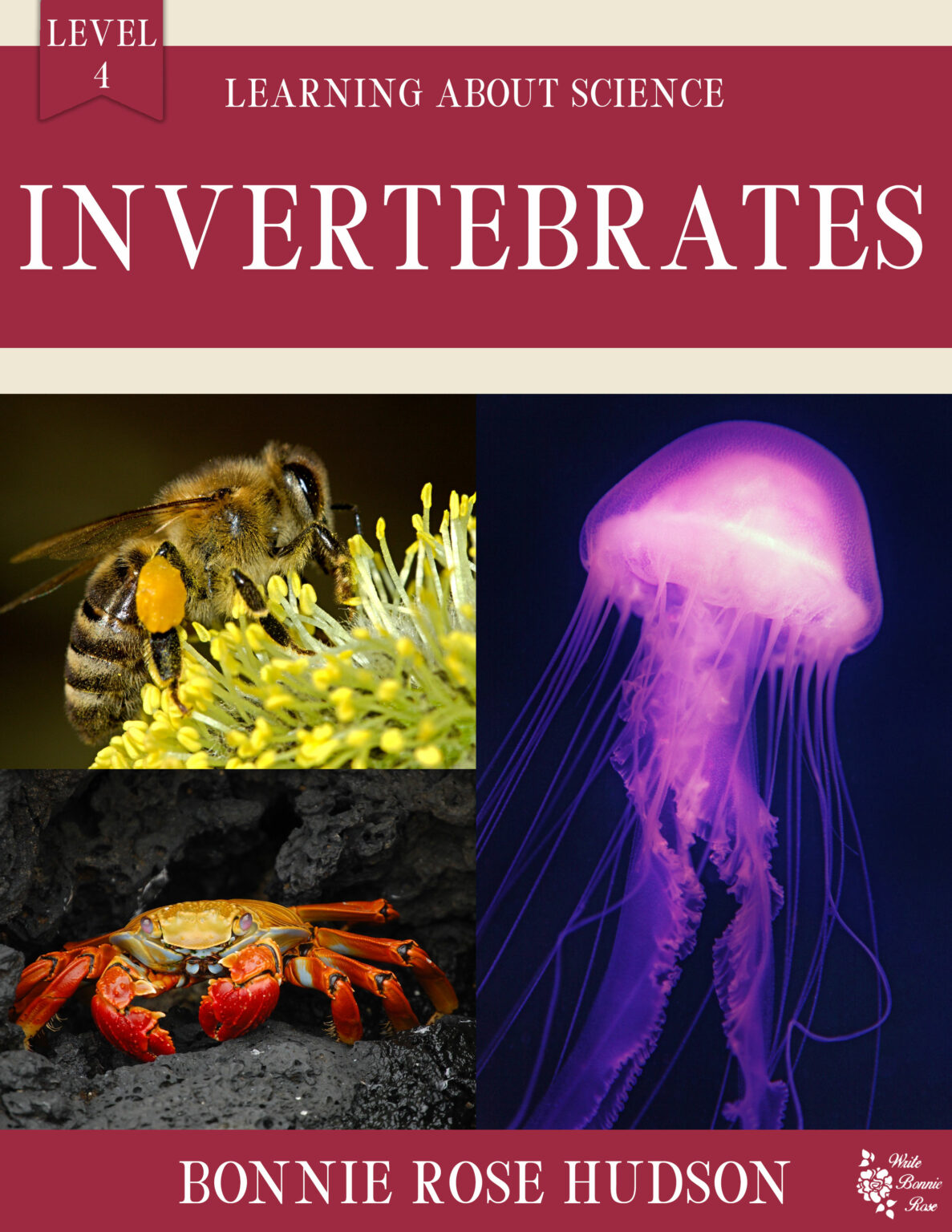 Invertebrates-Learning About Science, Level 4 | Made By Teachers