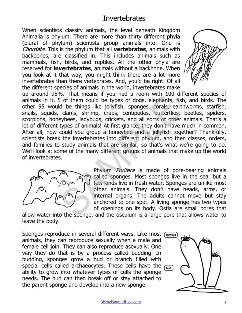 Invertebrates-Learning About Science, Level 4 | Made By Teachers