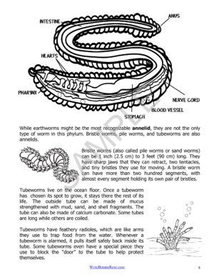 Invertebrates-Learning About Science, Level 4 | Made By Teachers