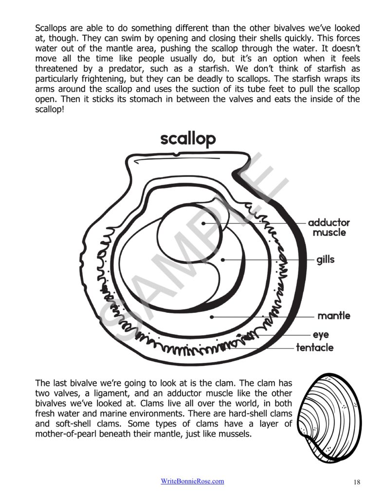 Invertebrates-Learning About Science, Level 4 | Made By Teachers