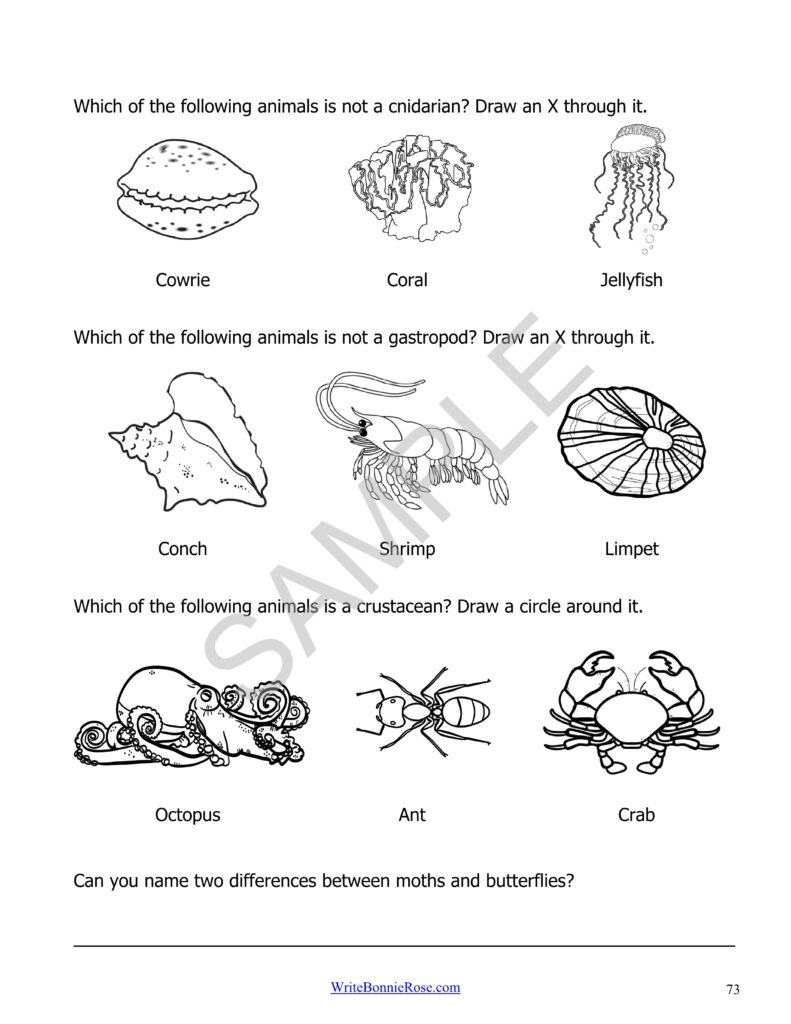 Invertebrates-Learning About Science, Level 4 | Made By Teachers