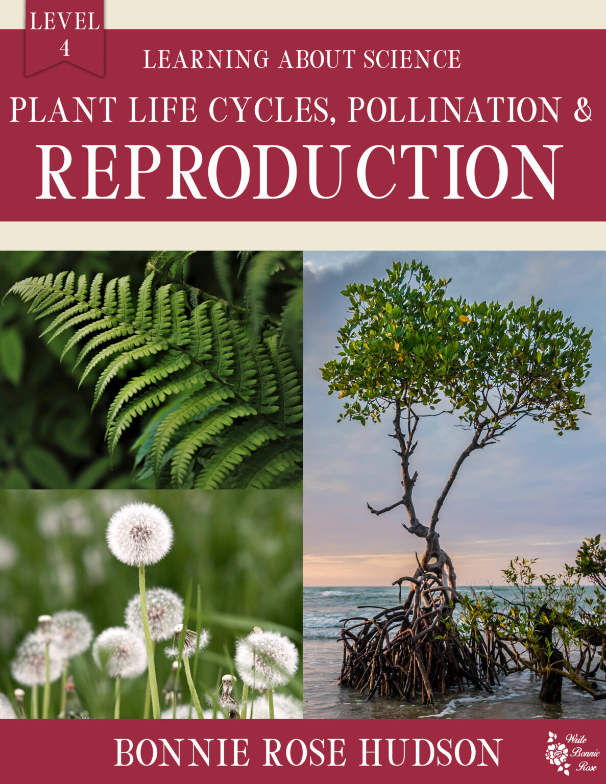 Plant Life Cycles, Pollination & Reproduction-Learning About Science ...