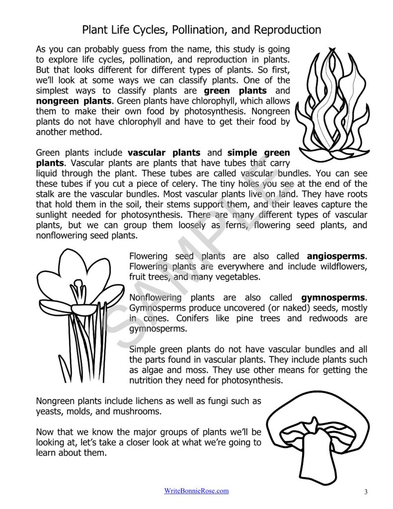 Plant Life Cycles, Pollination & Reproduction-Learning About Science ...